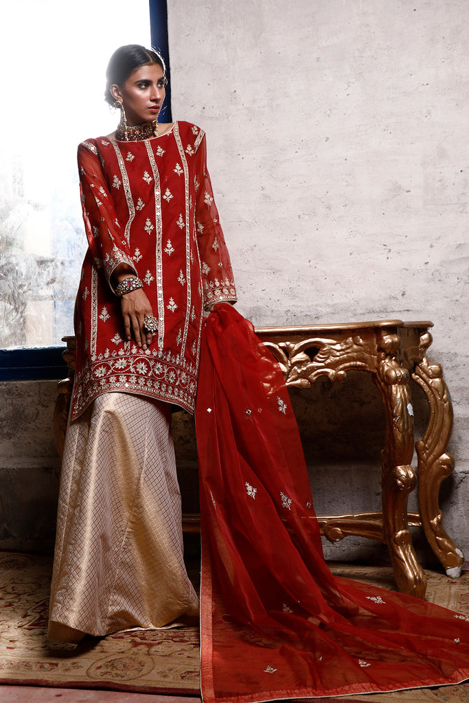 Traditional Handwork Brocade Gharara Suit | SIRA | P202043 – SANA'S