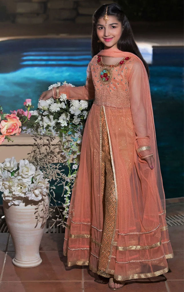 Handwork Embroidered Net Plazo Suit | WC1718 | P673 – SANA'S
