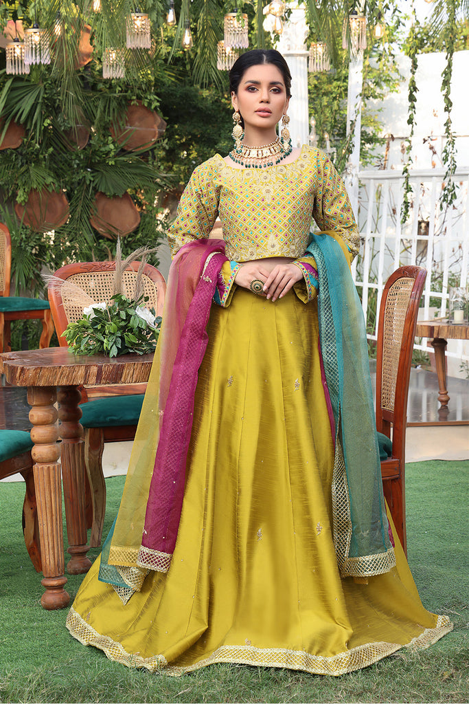 Zari Handwork Embroidered Raw Silk Lehenga Choli | ZEENAT | L202224 ...